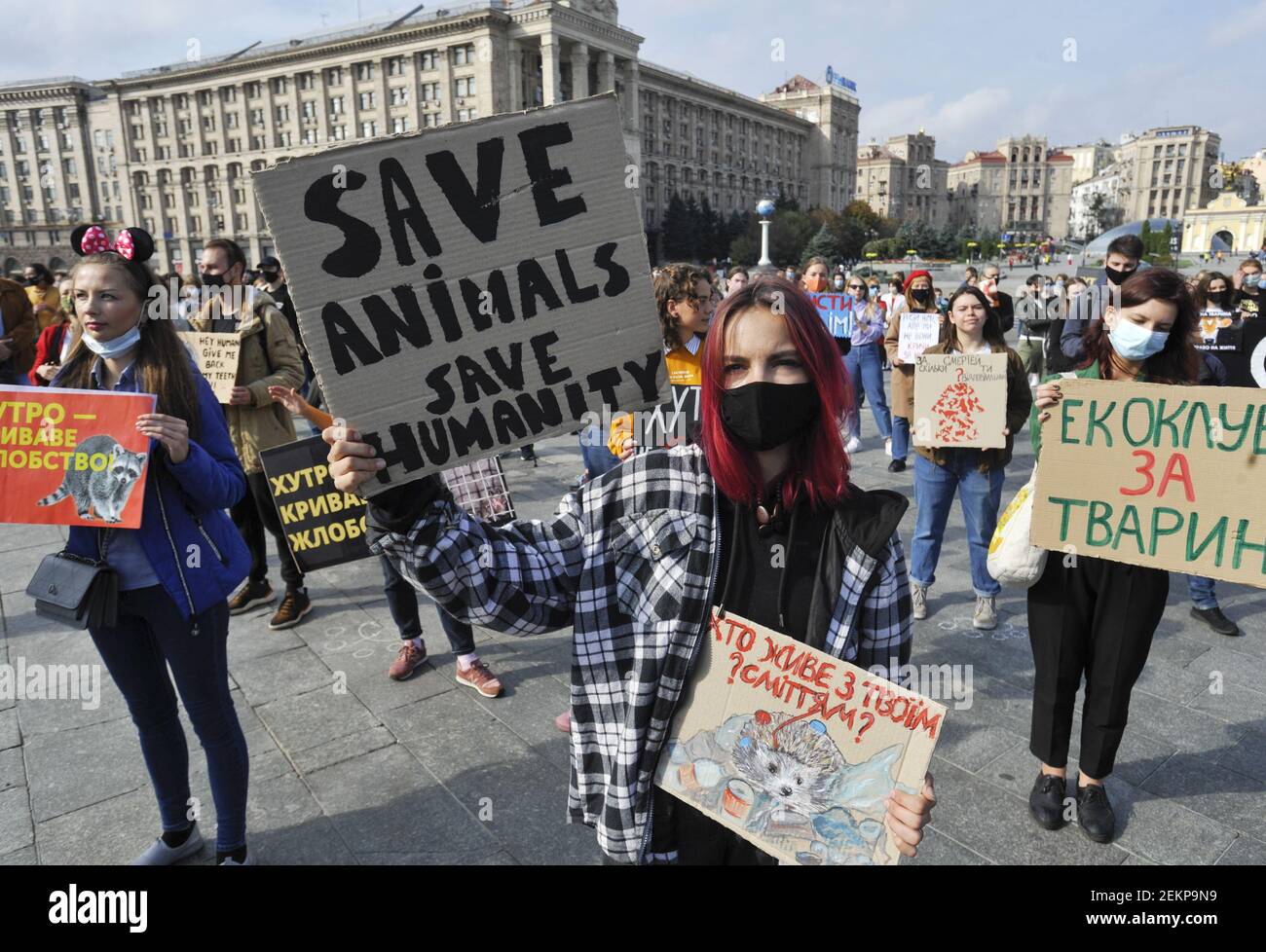 Activist holding animal rights placards during a rally marking World ...