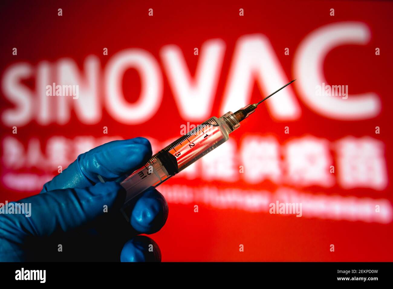 In this photo illustration the medical syringe is seen with Sinovac ...