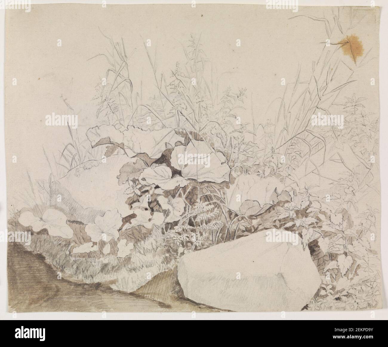 Soose High Resolution Stock Photography and Images - Alamy