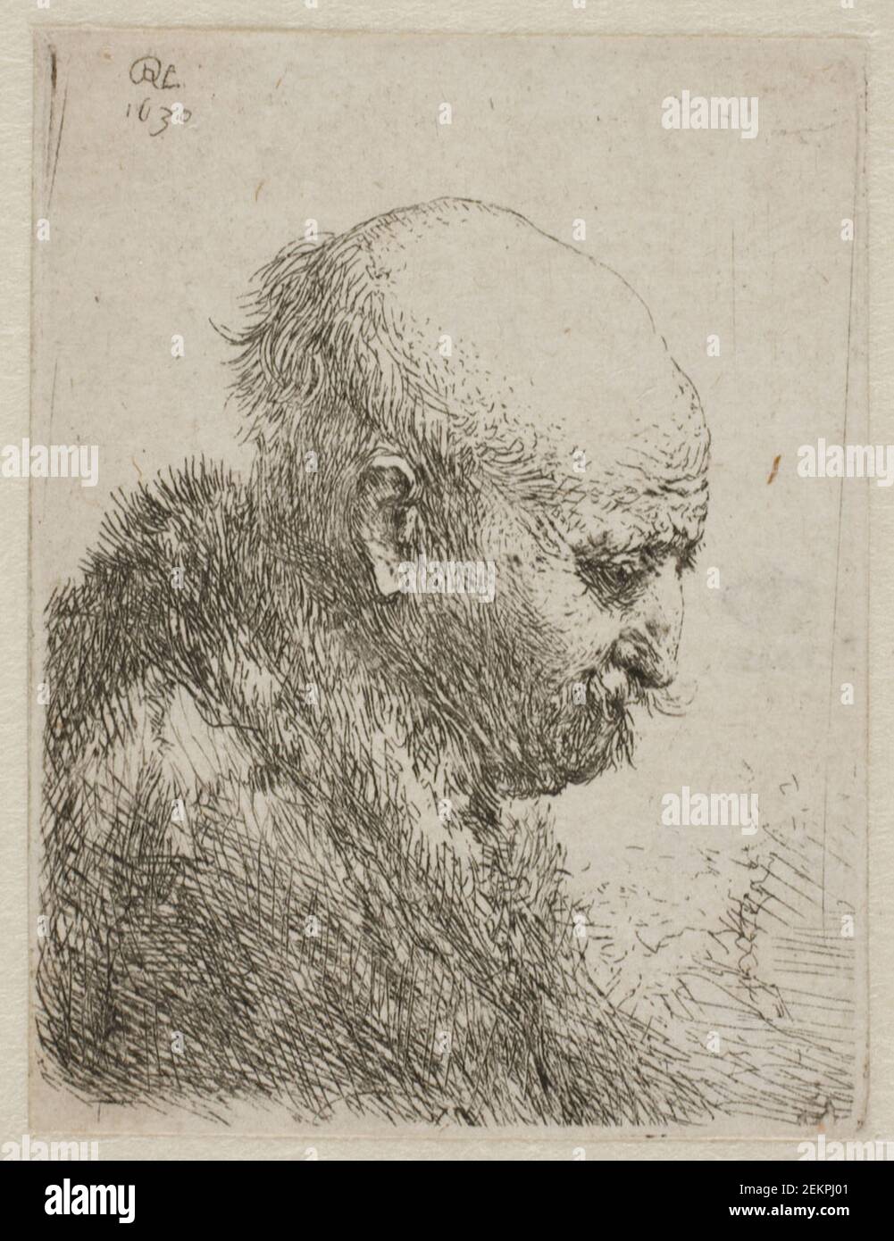 Rembrandt van Rijn (1606-1669), bald man in profile (Rembrandts Father ...