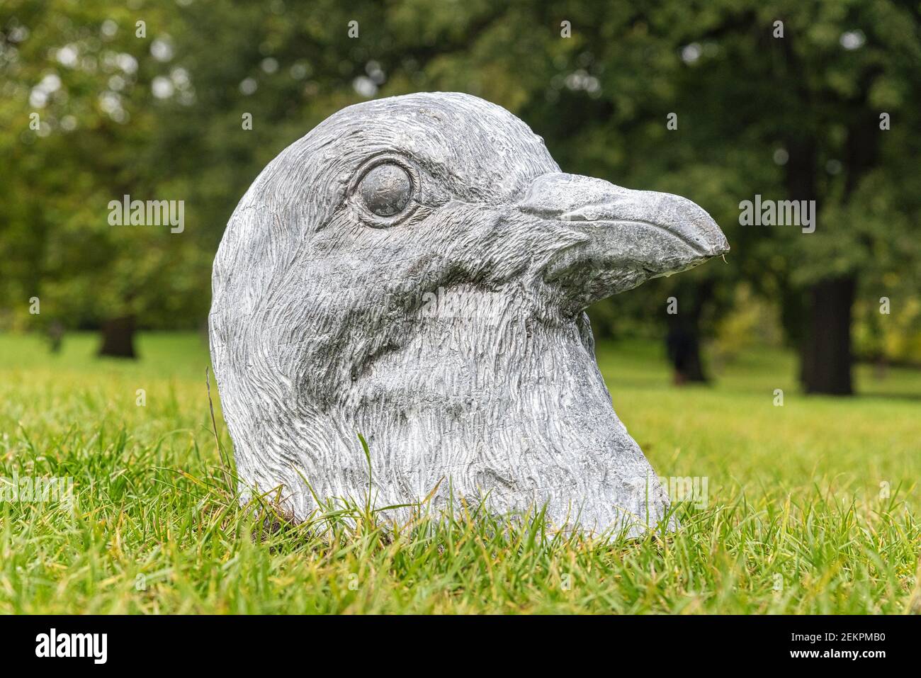 A birds head part of Patrick Goddard’s Humans-Animals-Monsters ...