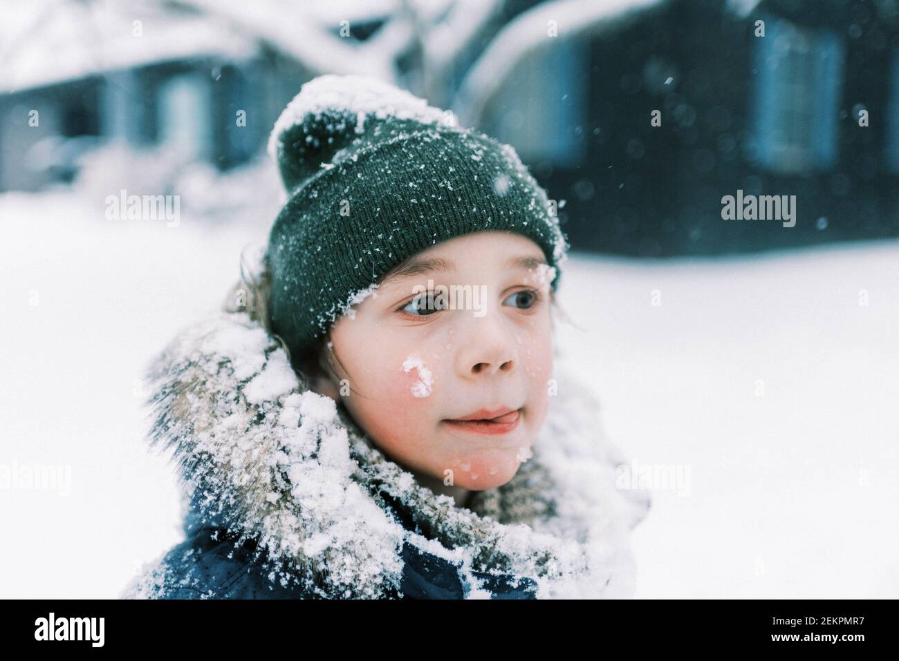 Lick life hi-res stock photography and images - Alamy