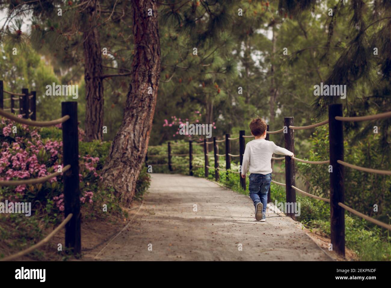 Boy walking down a path next to a rope rail Stock Photo - Alamy