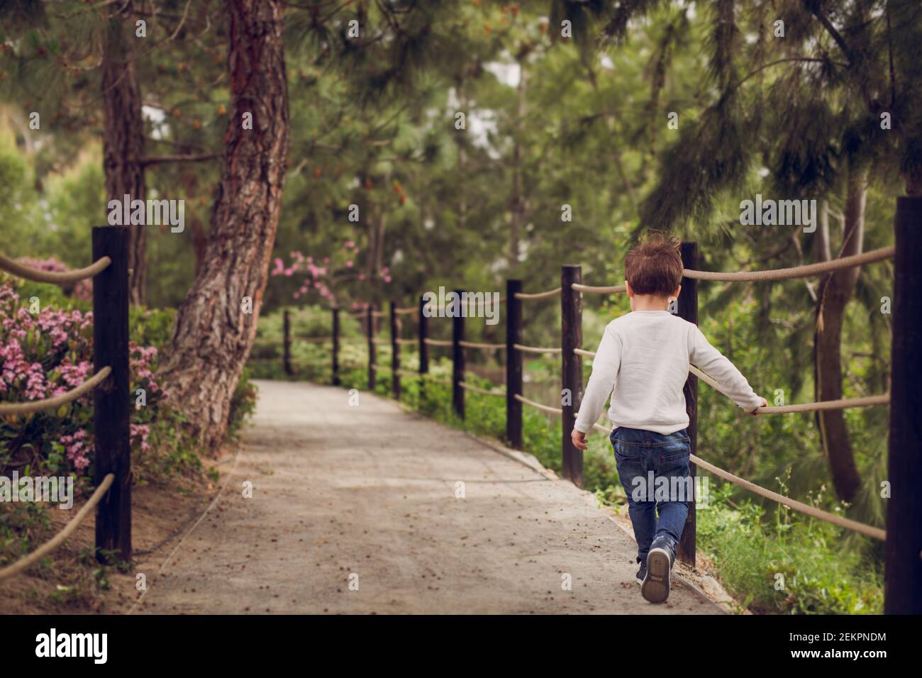 Boy walking down hill on a path, holding onto a rope rail Stock Photo ...