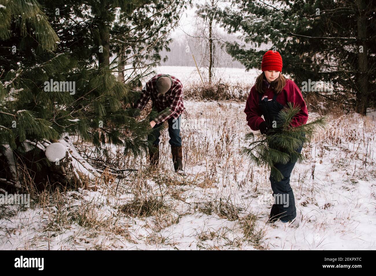 Boy pines hi-res stock photography and images - Alamy