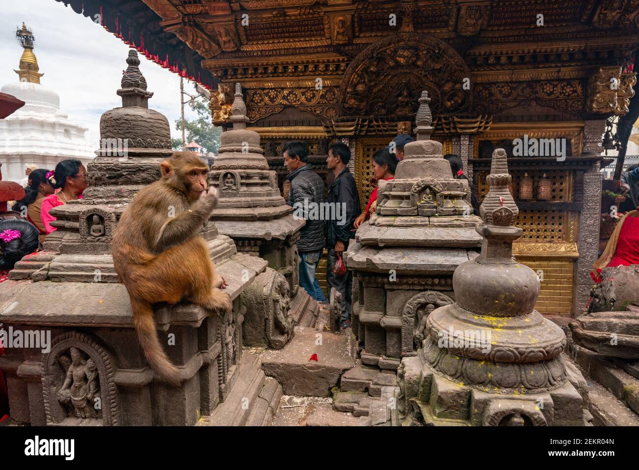 Swayambhunath, also known as the "monkey temple" due to the large amount of wild monkeys living ...