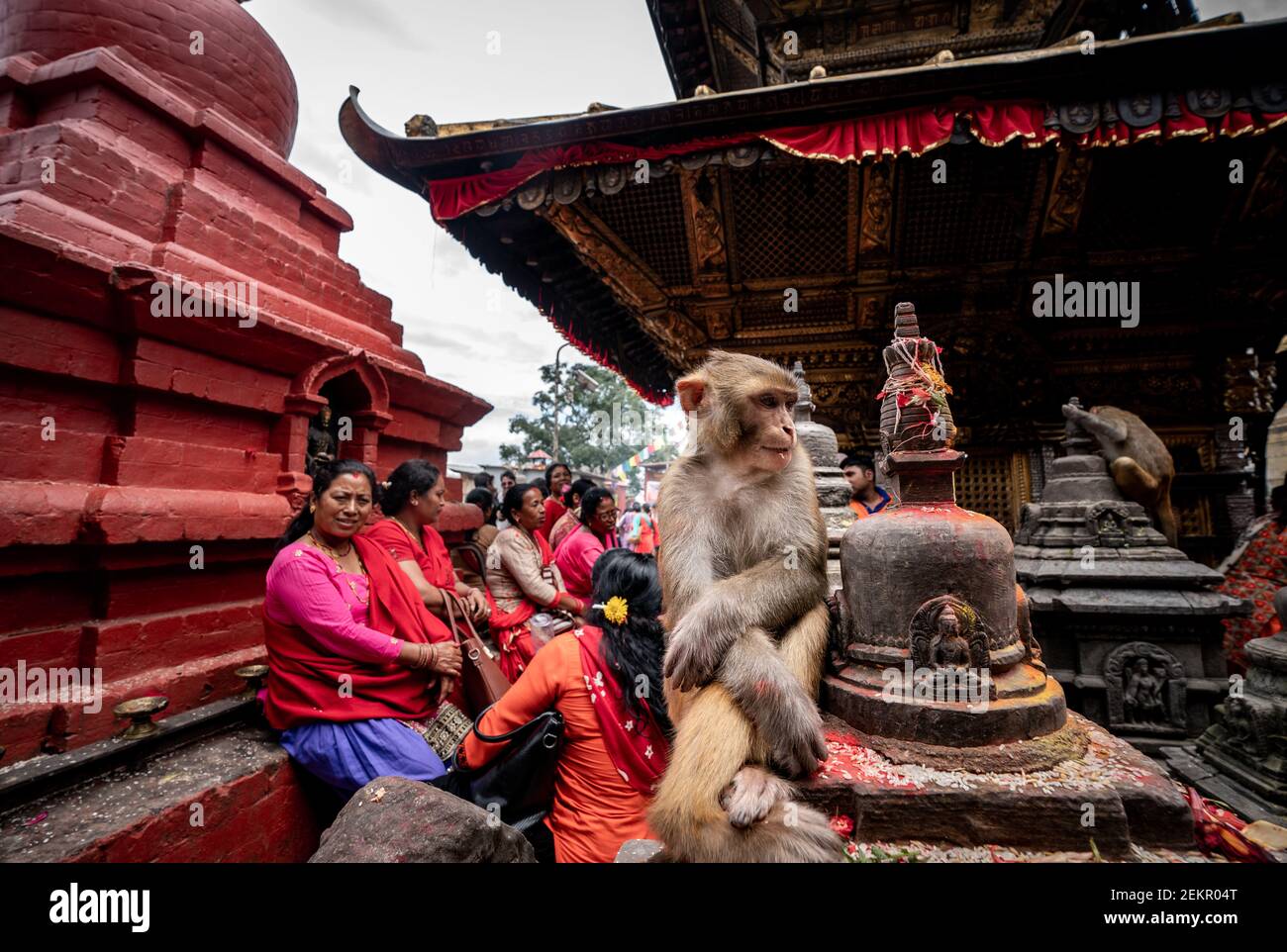 Swayambhunath, also known as the "monkey temple" due to the large amount of wild monkeys living ...