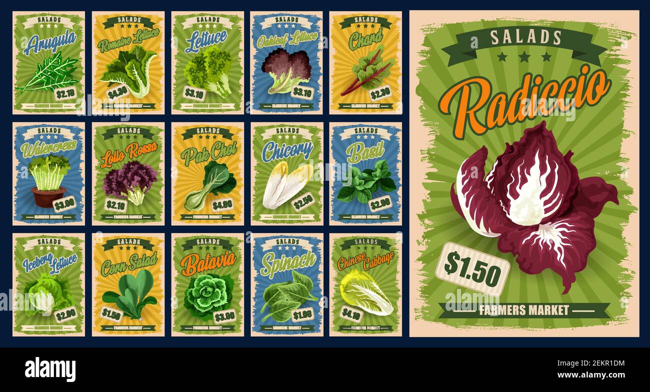 Radic Stock Vector Images - Alamy