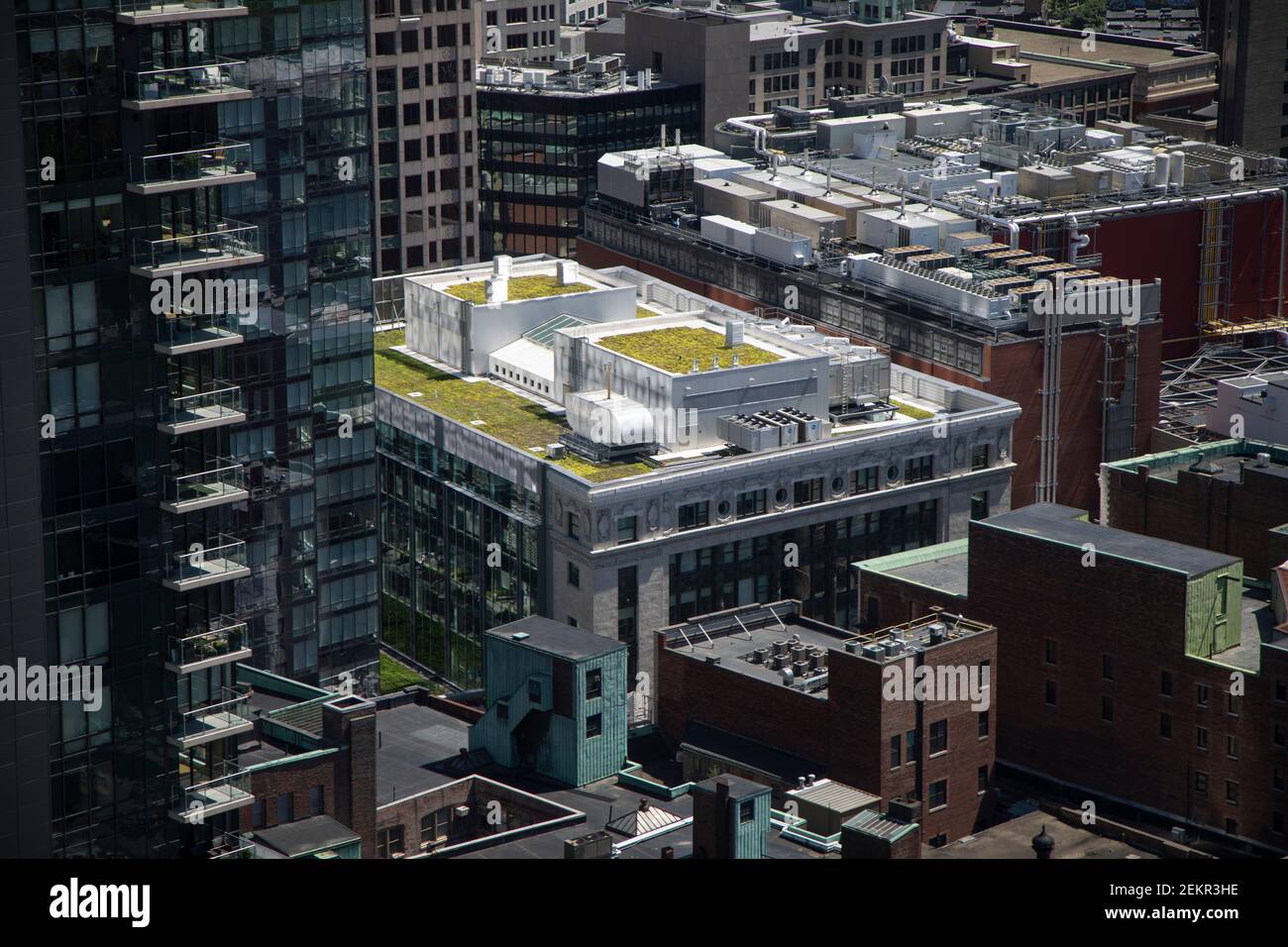 An aerial view of a green rooftop terrace in an urban environment ...