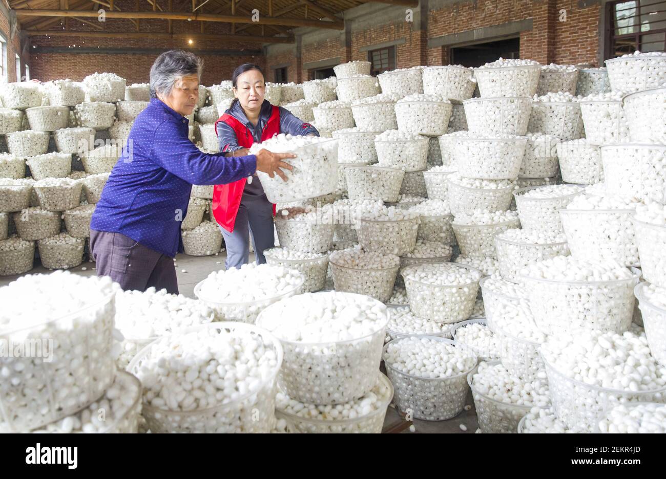 Jiangsuï¼ŒCHINA-National Day holiday this year is the autumn cocoon ...