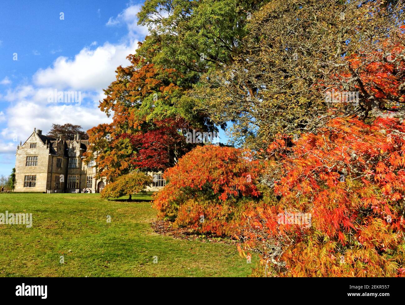Blue skies over rust coloured foliage leading to an manor house in ...