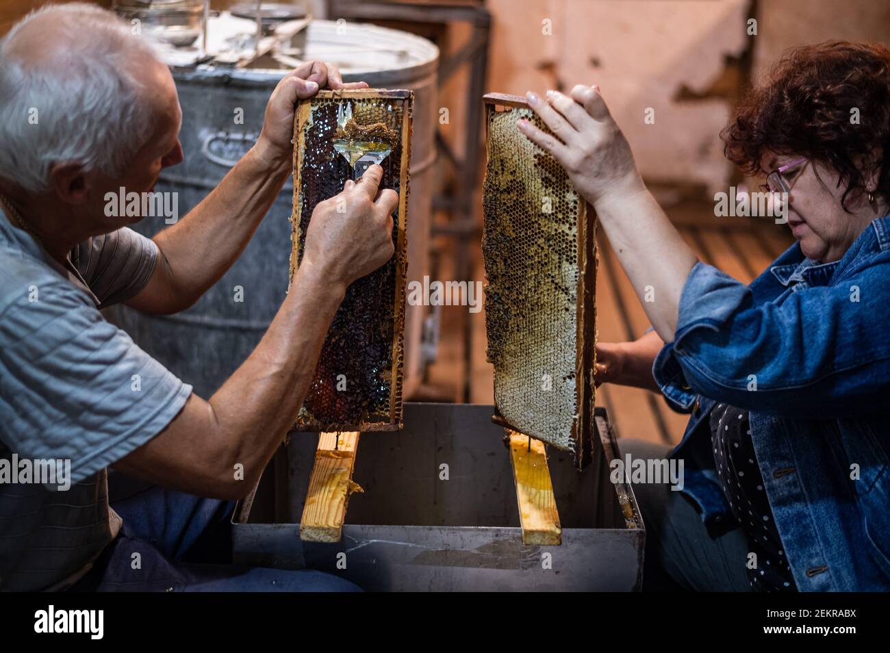 An elderly beekeeper works with frames for honey. Manual labor in the ...