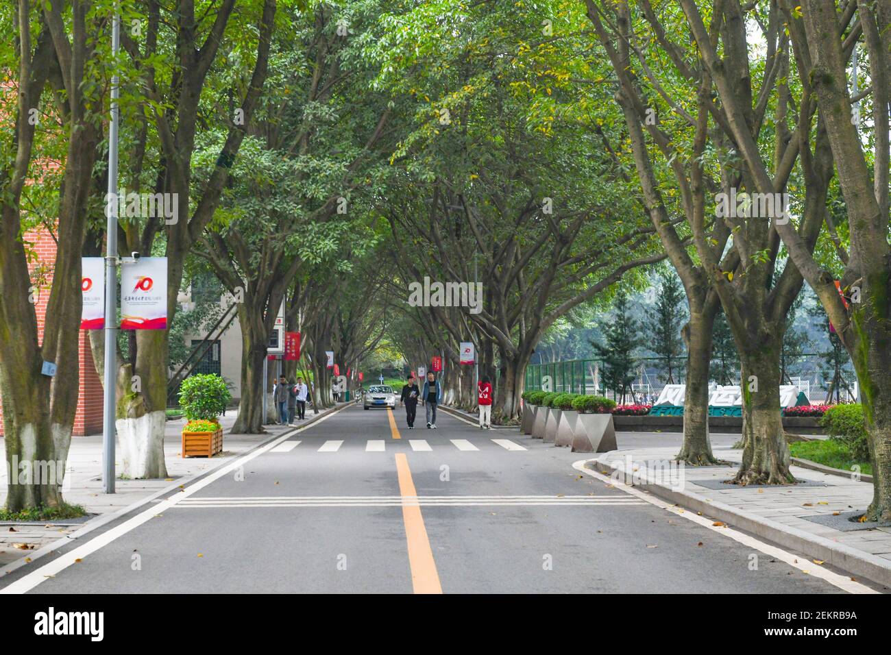 Decorations are seen in the campus to celebrate the 70th anniversary of ...