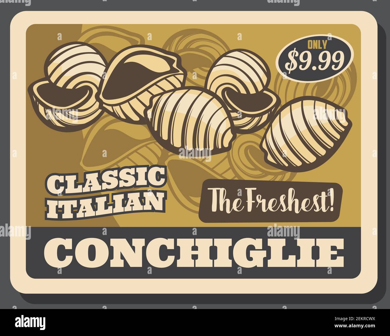 Conchiglie pasta vector design of Italian cuisine seashell macaroni in ...