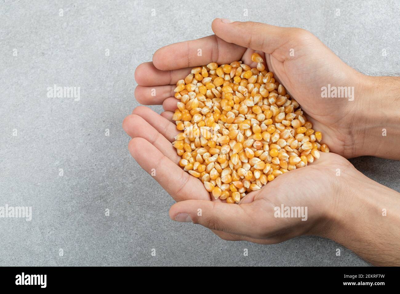 Hands holding grain hi-res stock photography and images - Alamy