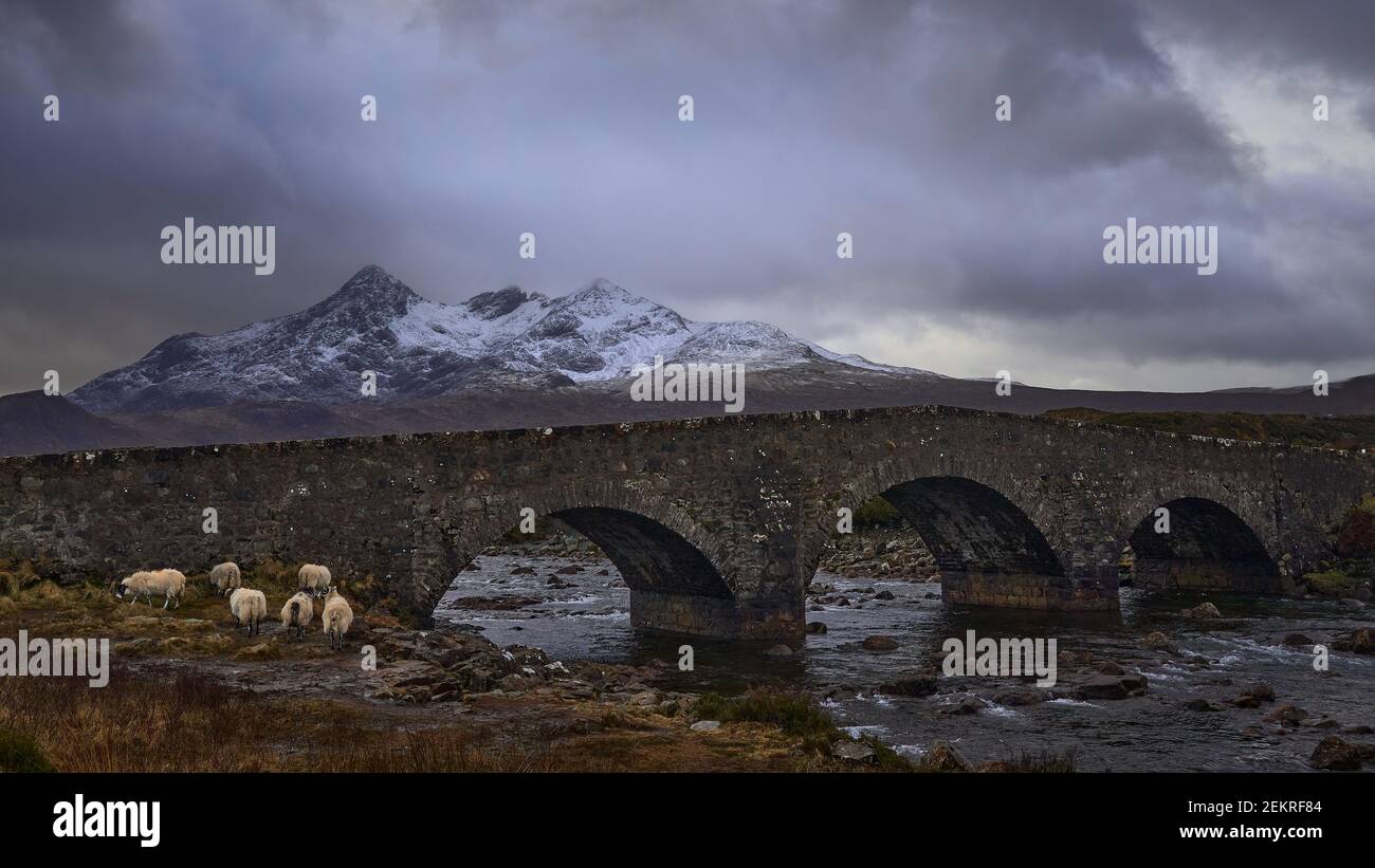 heep on an Old three arched stone bridge over the River Sligachan in ...
