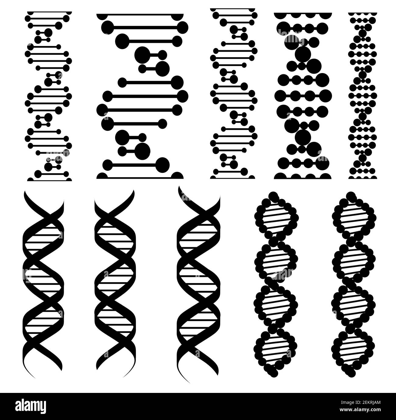 Helical virus Stock Vector Images - Alamy