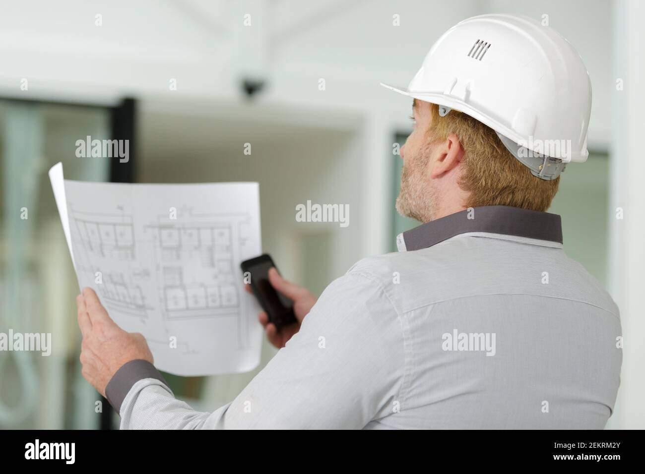 rear view of contractor holding plans inside a property Stock Photo - Alamy