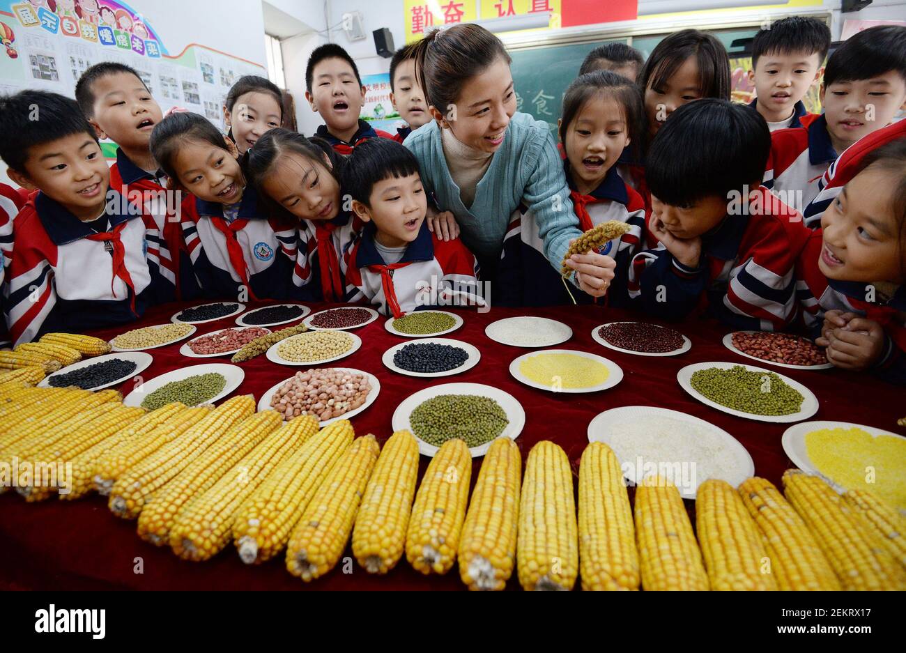 A teacher teaches kids to distinguish different types of grains at a ...