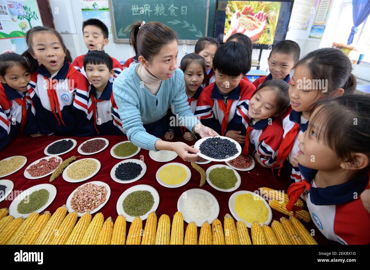 A teacher teaches kids to distinguish different types of grains at a ...
