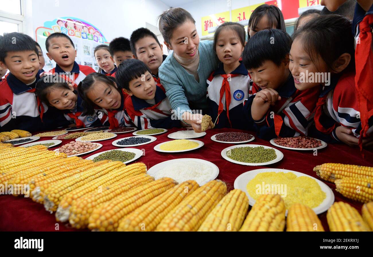 A teacher teaches kids to distinguish different types of grains at a ...
