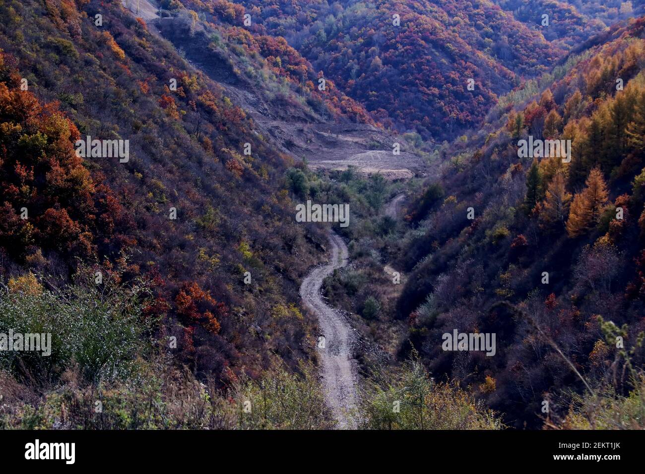 HebeiÃ¯Â¼Å’CHINA-Autumn scenery in the mountains of Sitaizui Township ...
