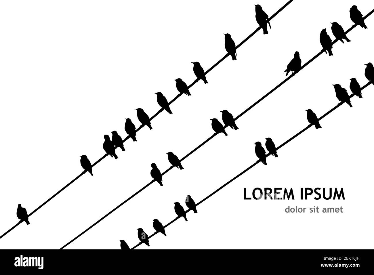Birds on wires. Vector illustration Stock Vector Image & Art - Alamy