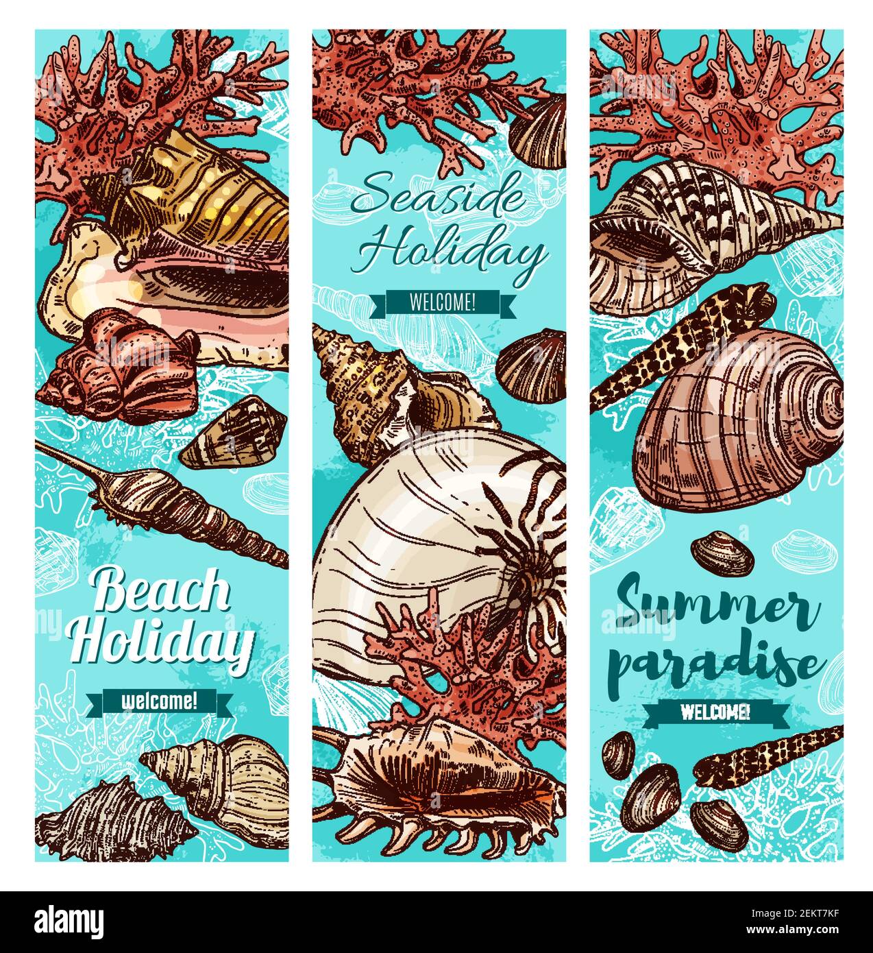 Seashells and corals sketch banners of summer paradise and beach ...