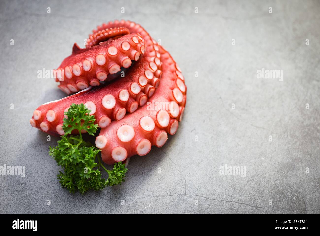 Boiled octopus tentacles with herb on plate, Octopus food cooked salad ...