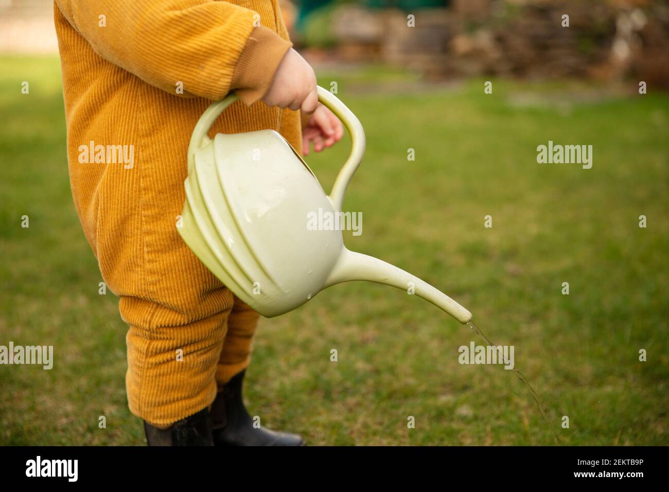 A young child helping out in the garden watering plants with a watering ...