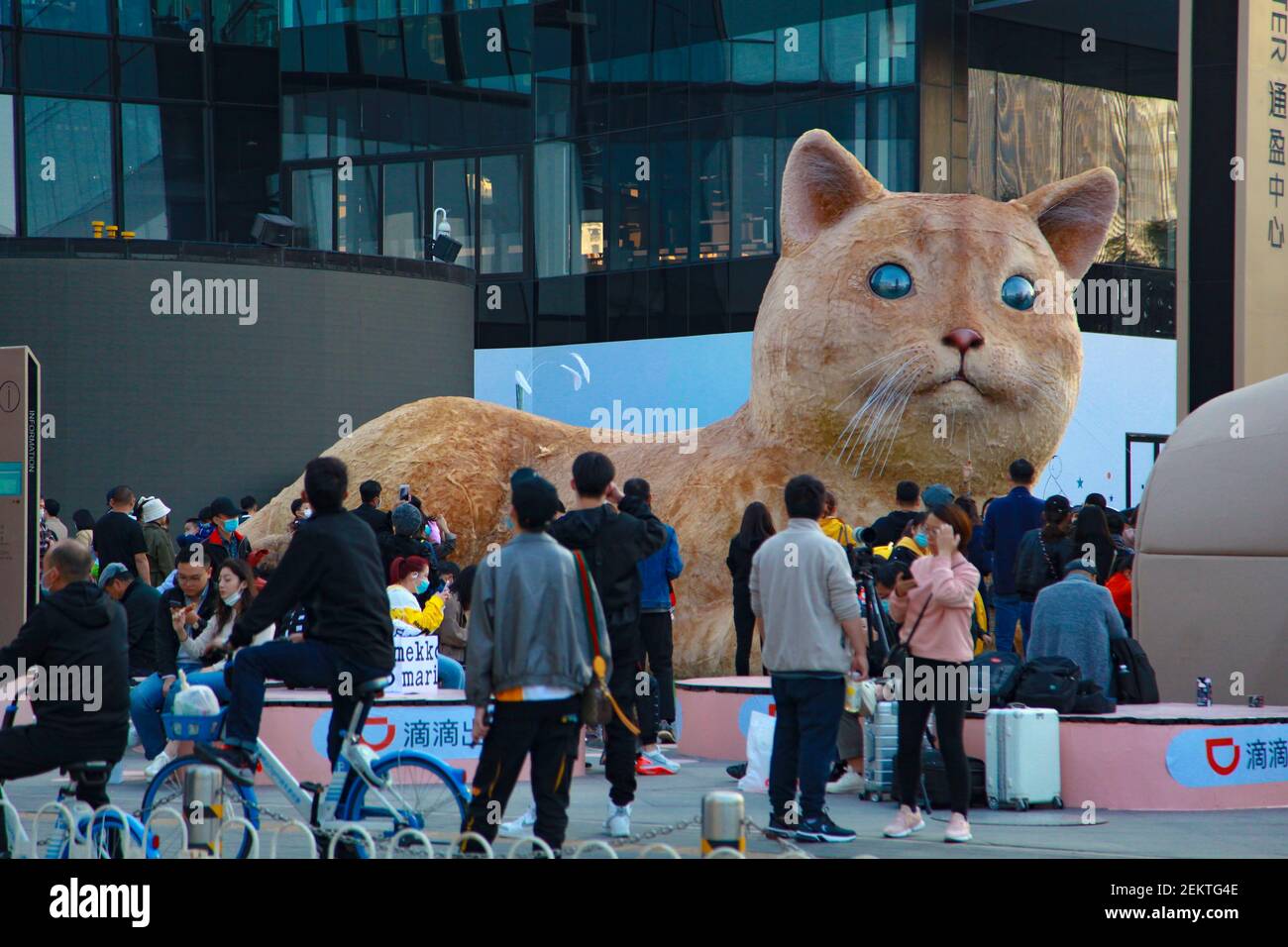 A huge cat sculpture that is a hundred times larger than a normal cat ...