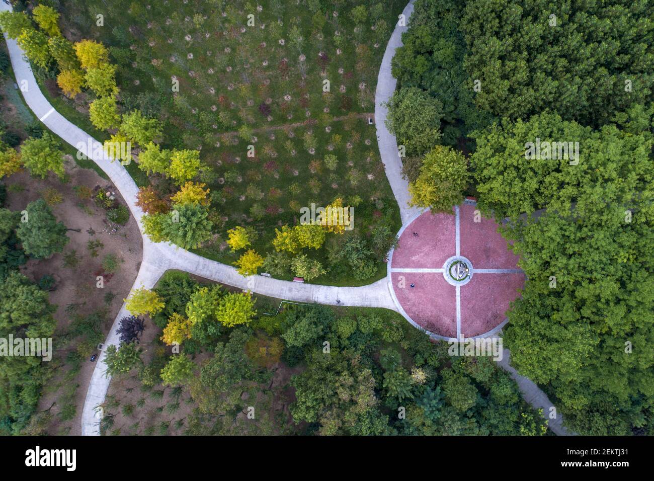 The colorful forest in autumn at the ancient Yellow River ecological ...