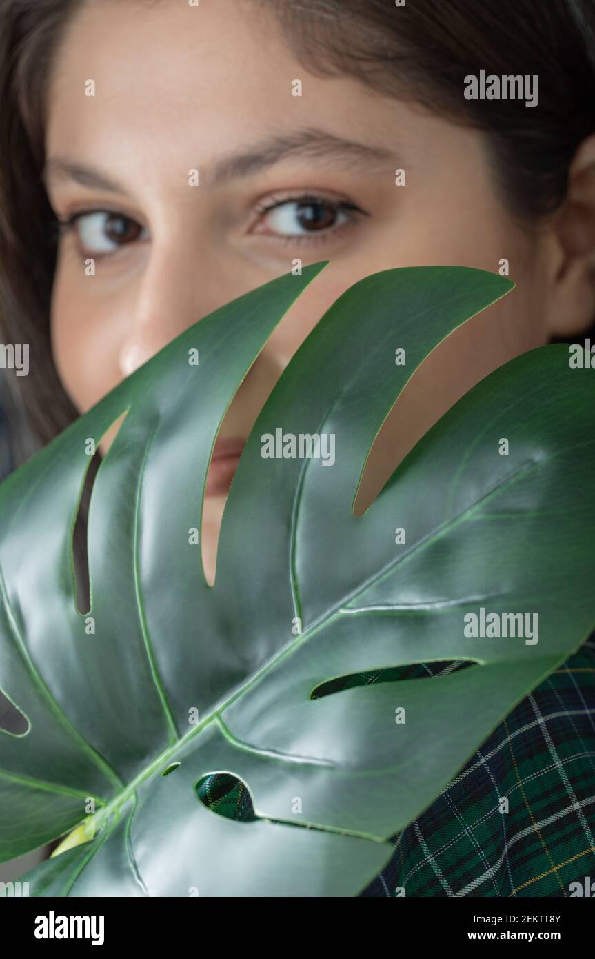 Leaf model hi-res stock photography and images - Alamy