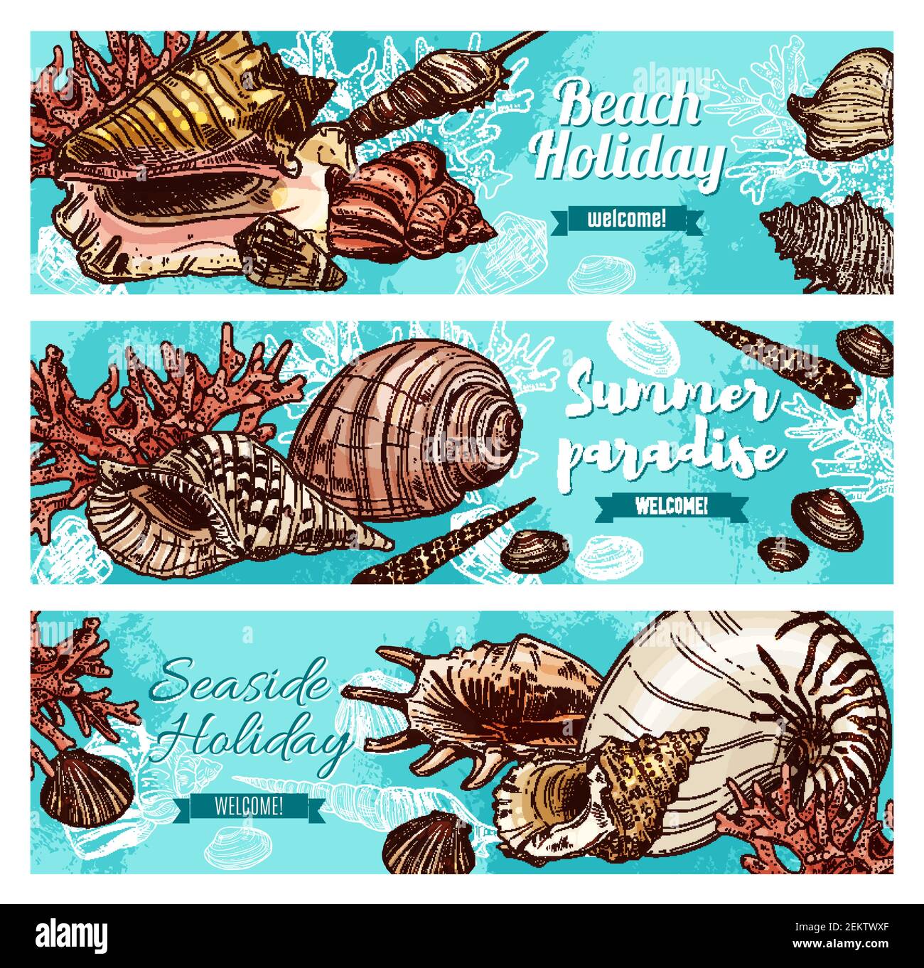 Vector sea and ocean shells and underwater corals on blue water ...