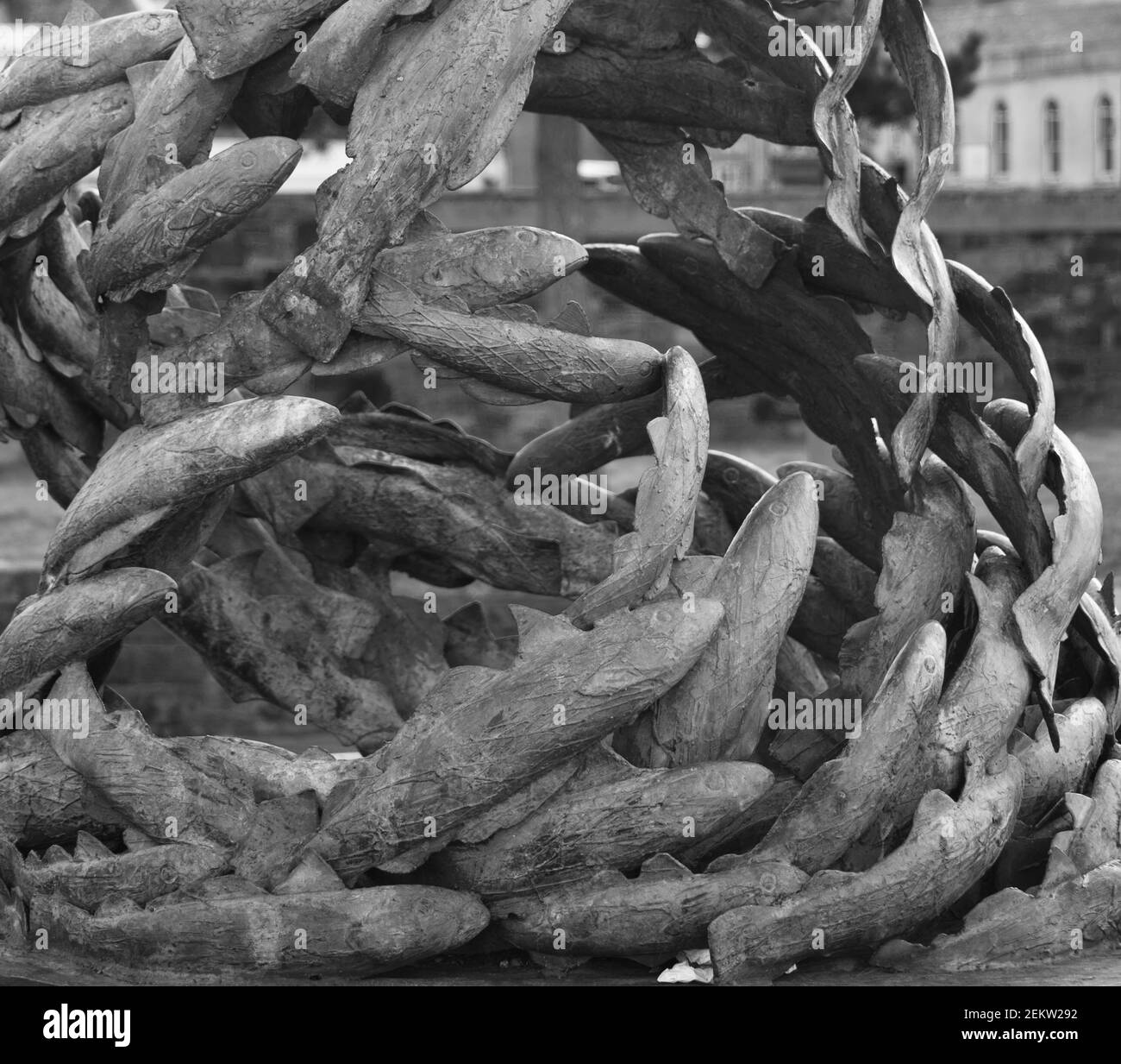 Swirl of fish Black and White Stock Photos & Images - Alamy