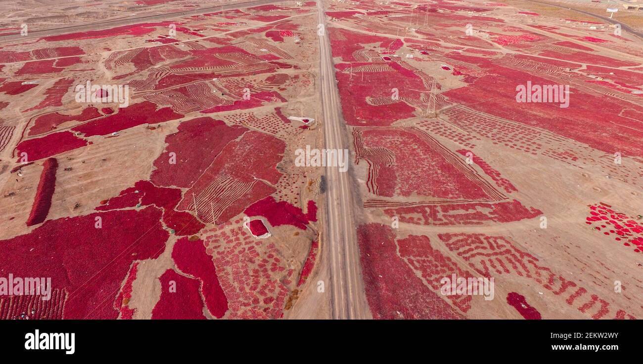 KUQA, CHINA - OCTOBER 23, 2020 - Aerial photos of farmers sorting ...