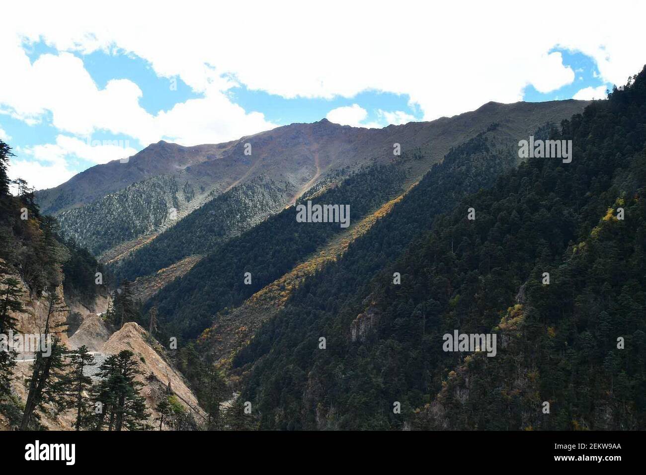 CHINA-A tourist takes a tour of zayu County and Xiayu Township in ...