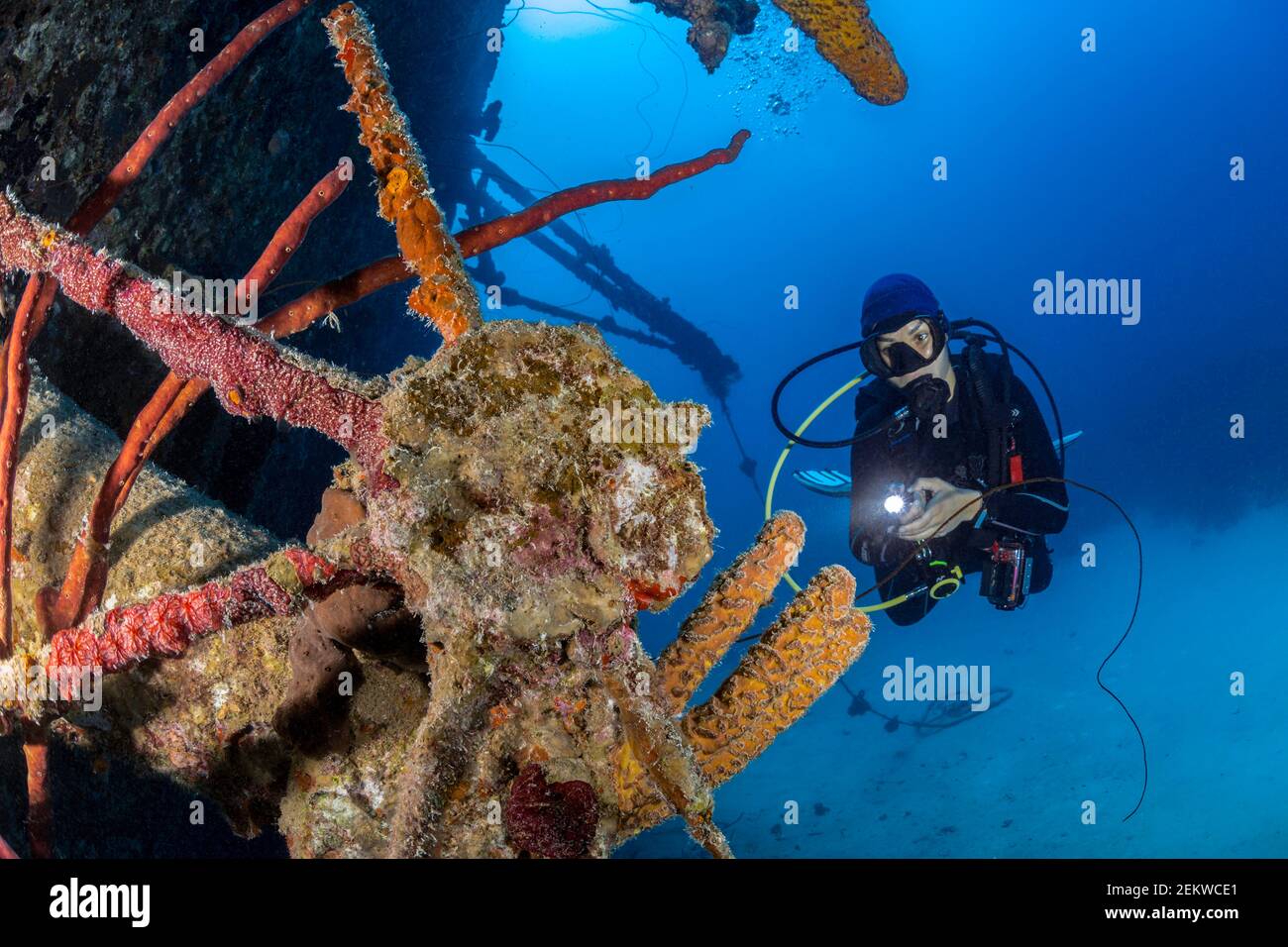 Scuba Diver shining light over the helm of the Hilma Hooker, Bonaire ...