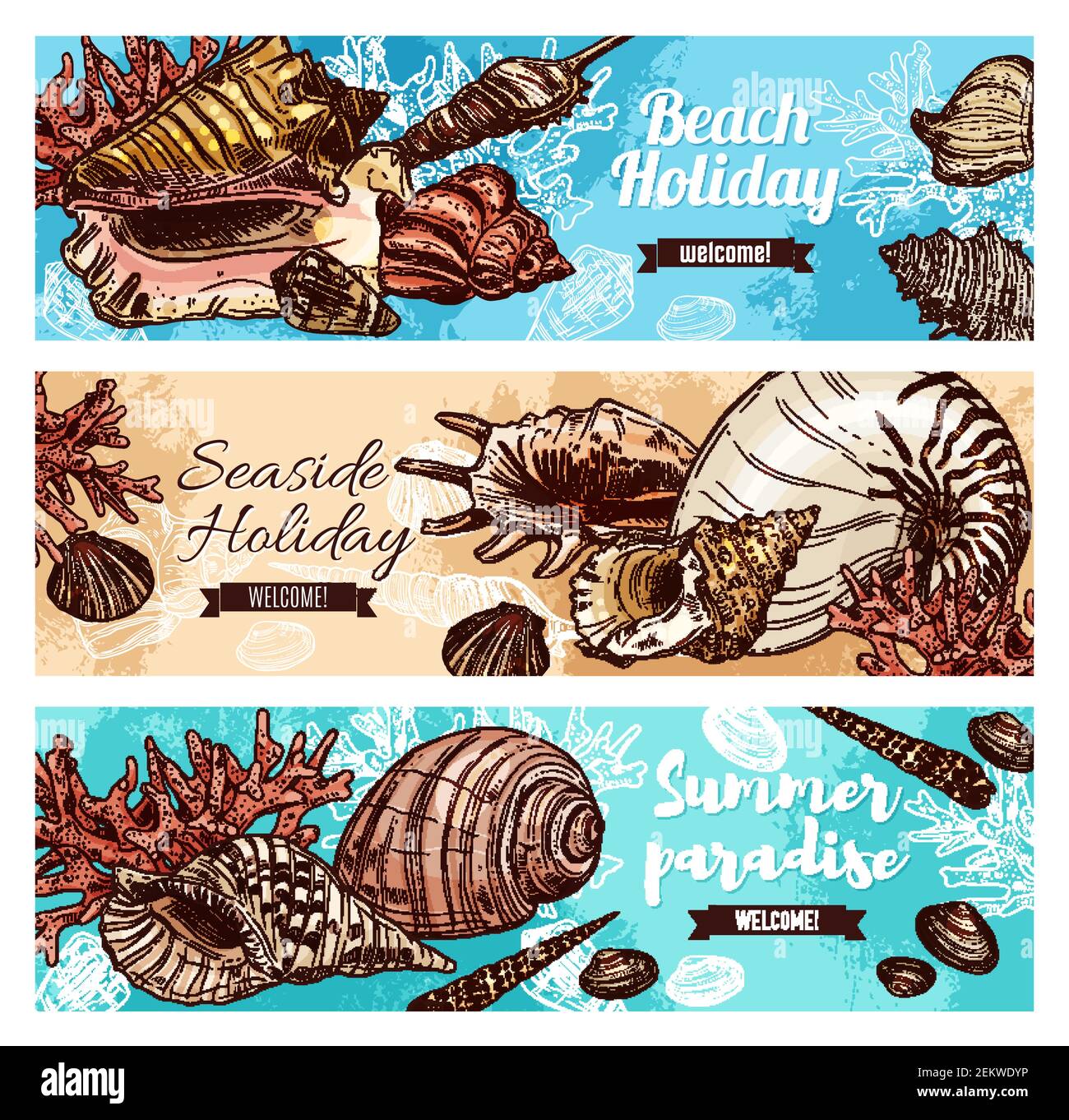 Whelk sea shells Stock Vector Images - Alamy