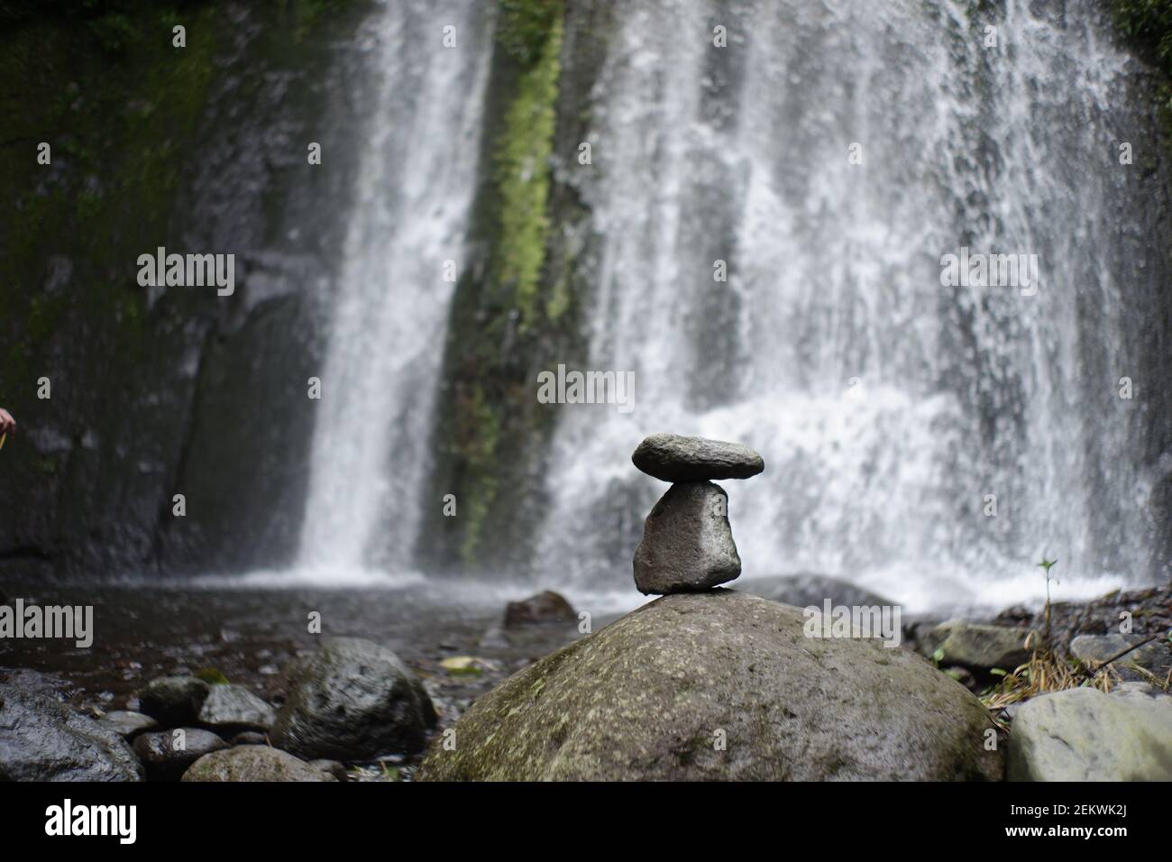 Cool tropical hi-res stock photography and images - Alamy