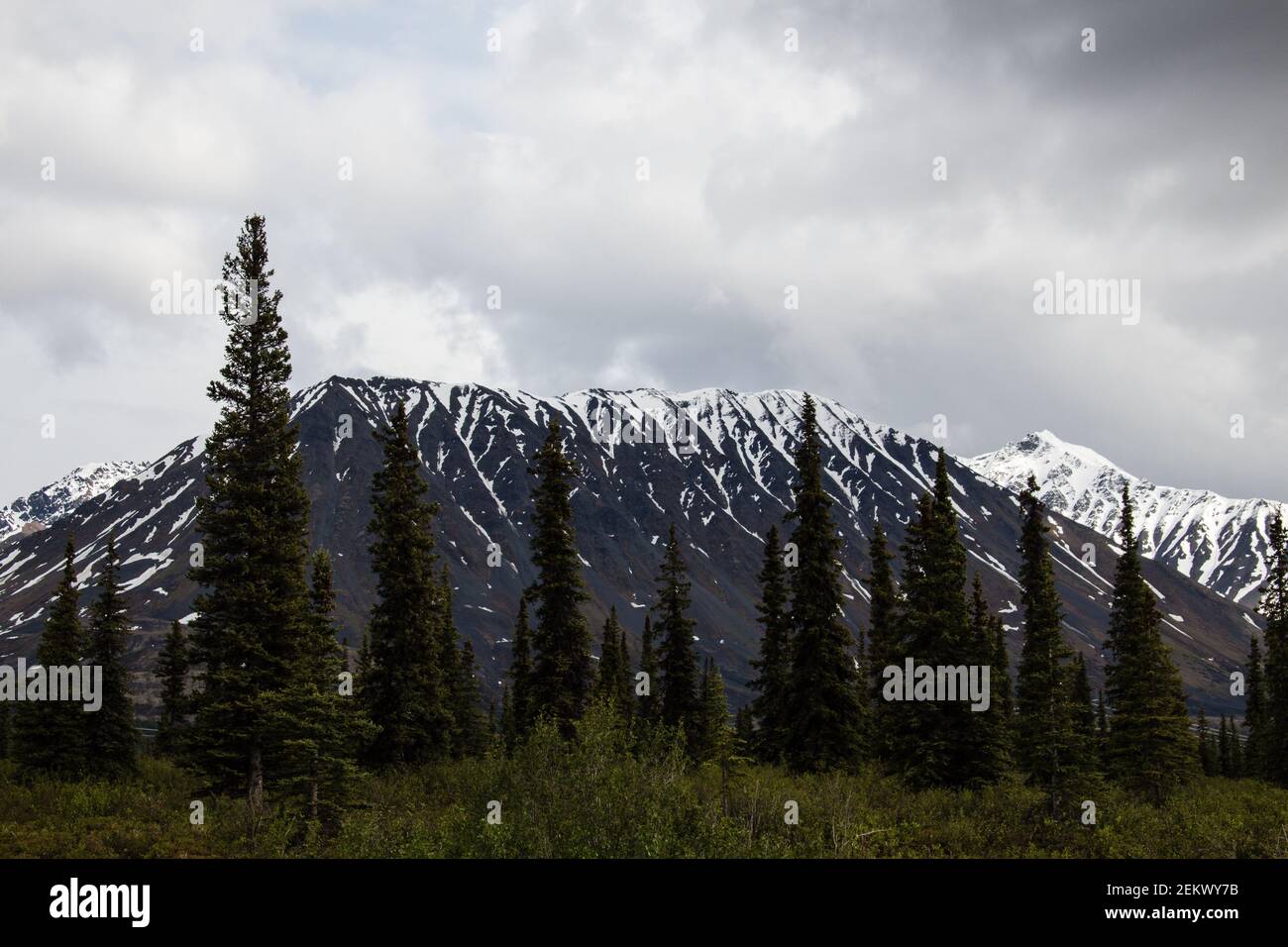 Mountains in denali park hi-res stock photography and images - Alamy