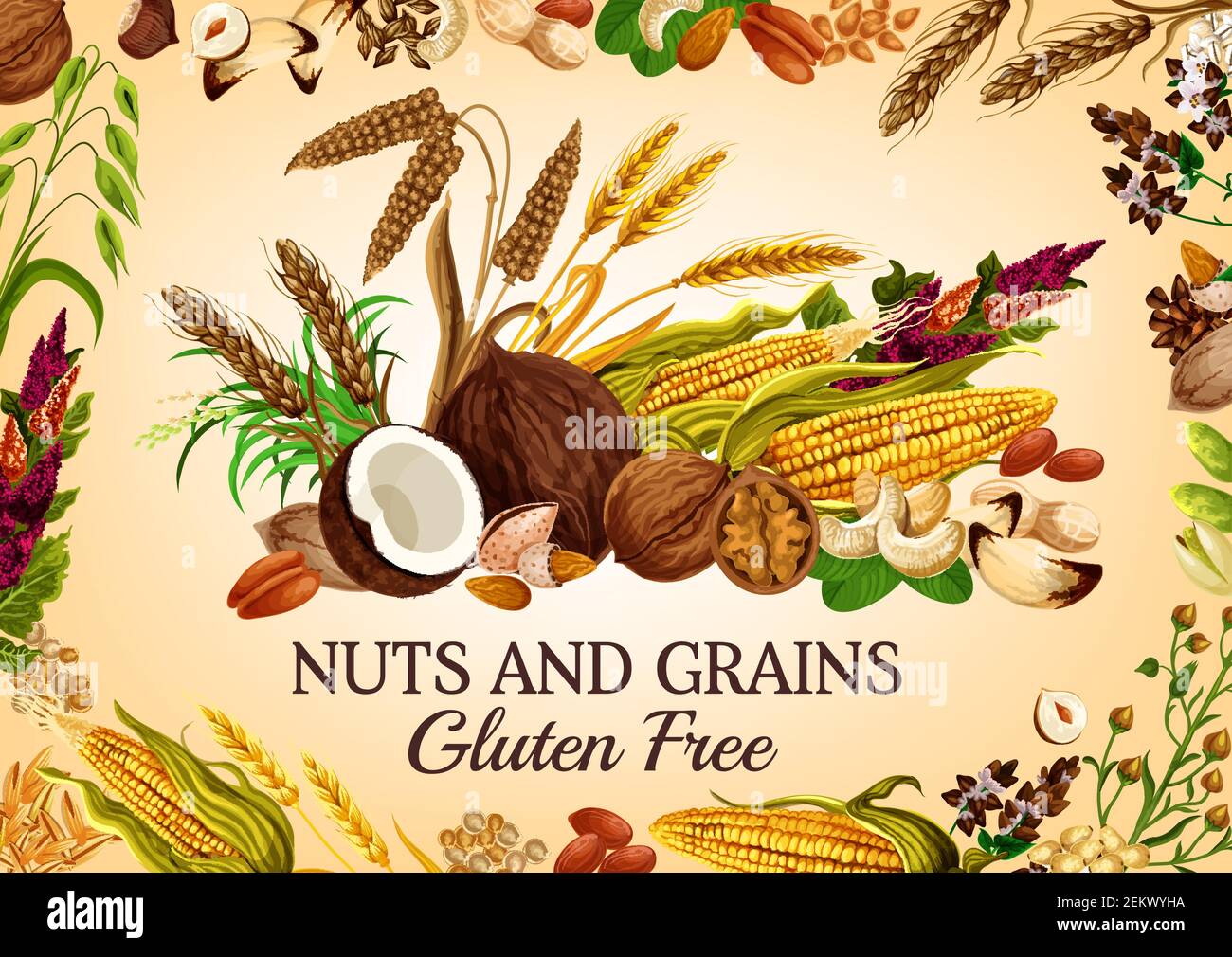 Nuts and cereal grains, natural organic gluten free food nutrition ...