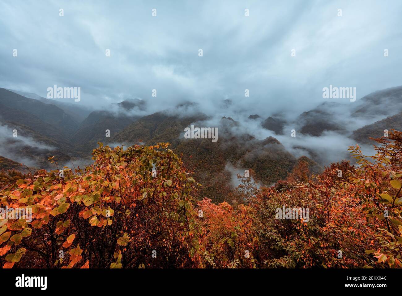 SichuanÃ¯Â¼Å’CHINA-A view of red leaves at the time of autumn in ...