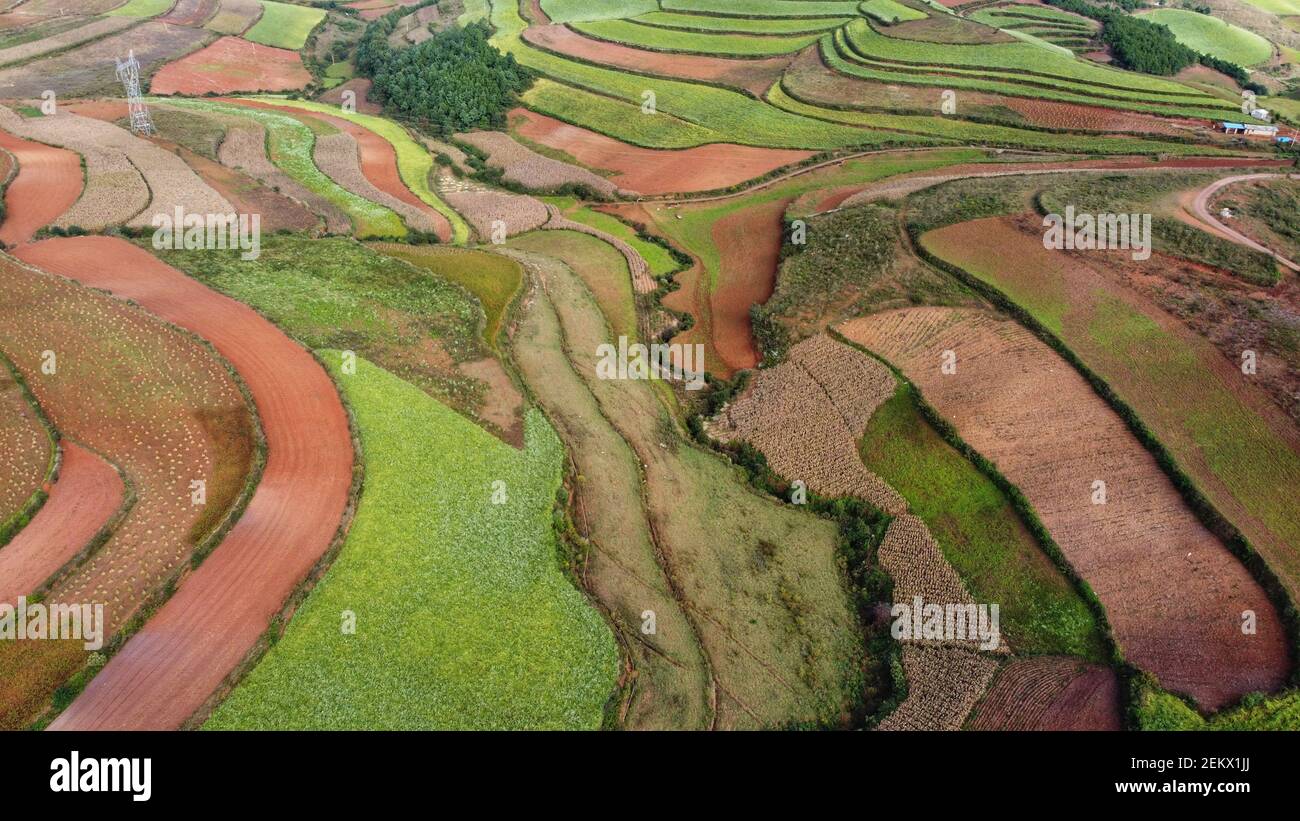 Aerial view of the colourful land which looks like an oil painting in ...
