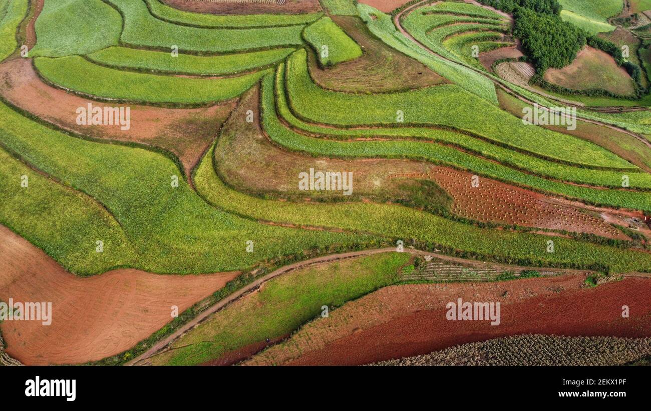 Aerial view of the colourful land which looks like an oil painting in ...