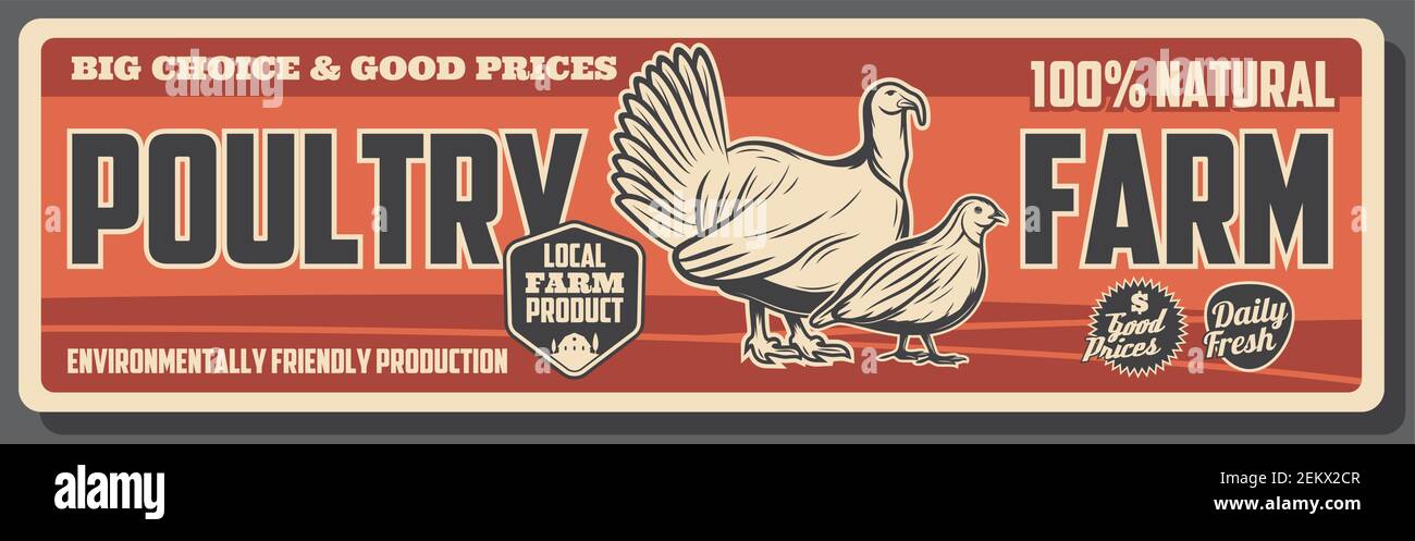 Poultry farm vector banner, breeding chickens, hens and turkey, quails ...