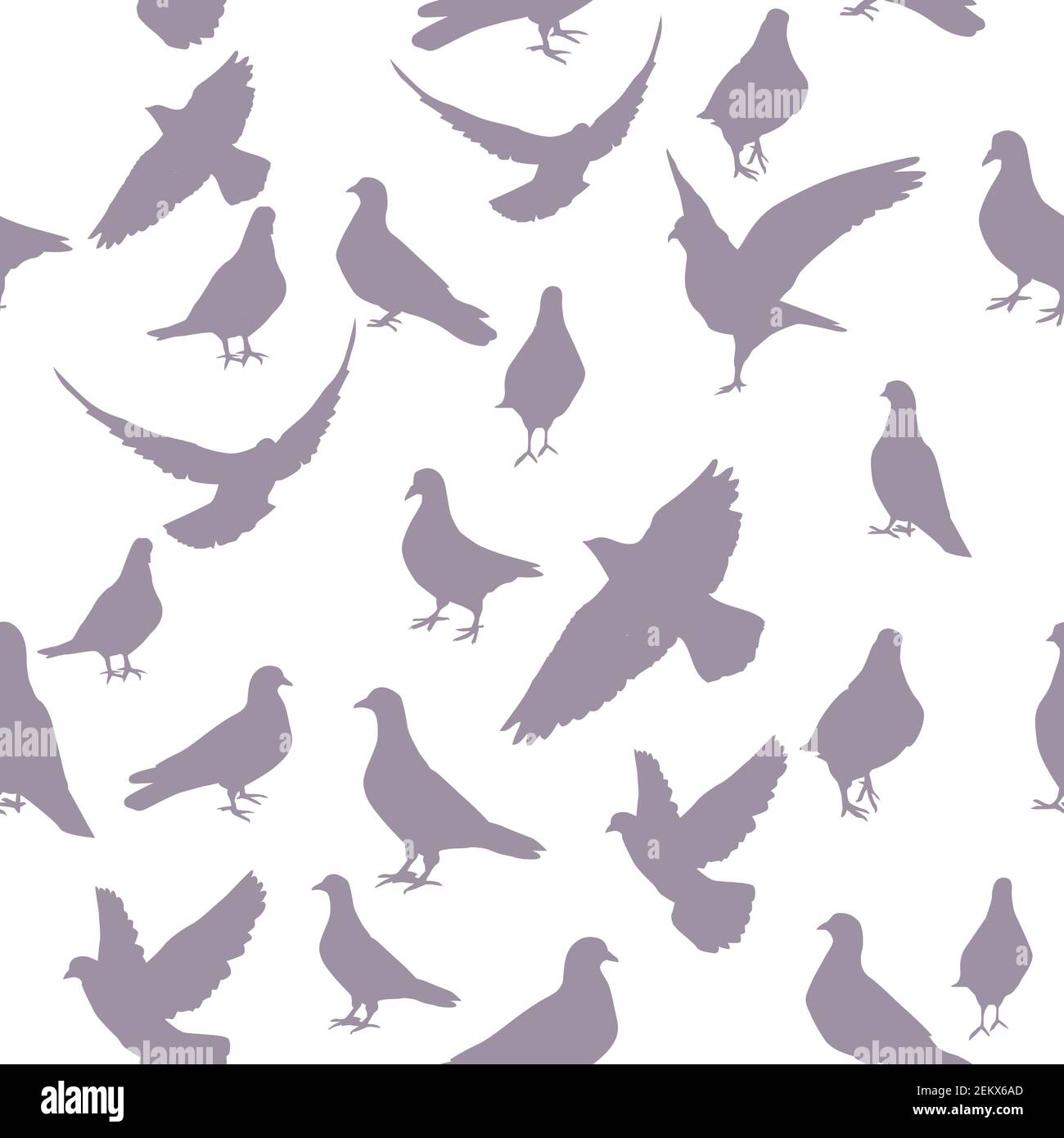 The seamless background of the pigeons. Vector illustration Stock ...