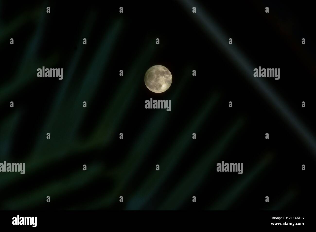 The blue moon rises in Srinagar, the summer capital of Jammu and ...