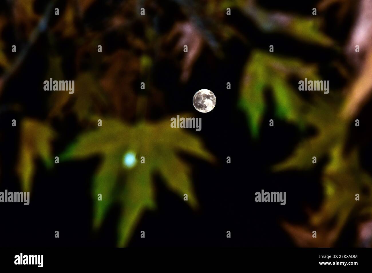 The blue moon rises in Srinagar, the summer capital of Jammu and ...