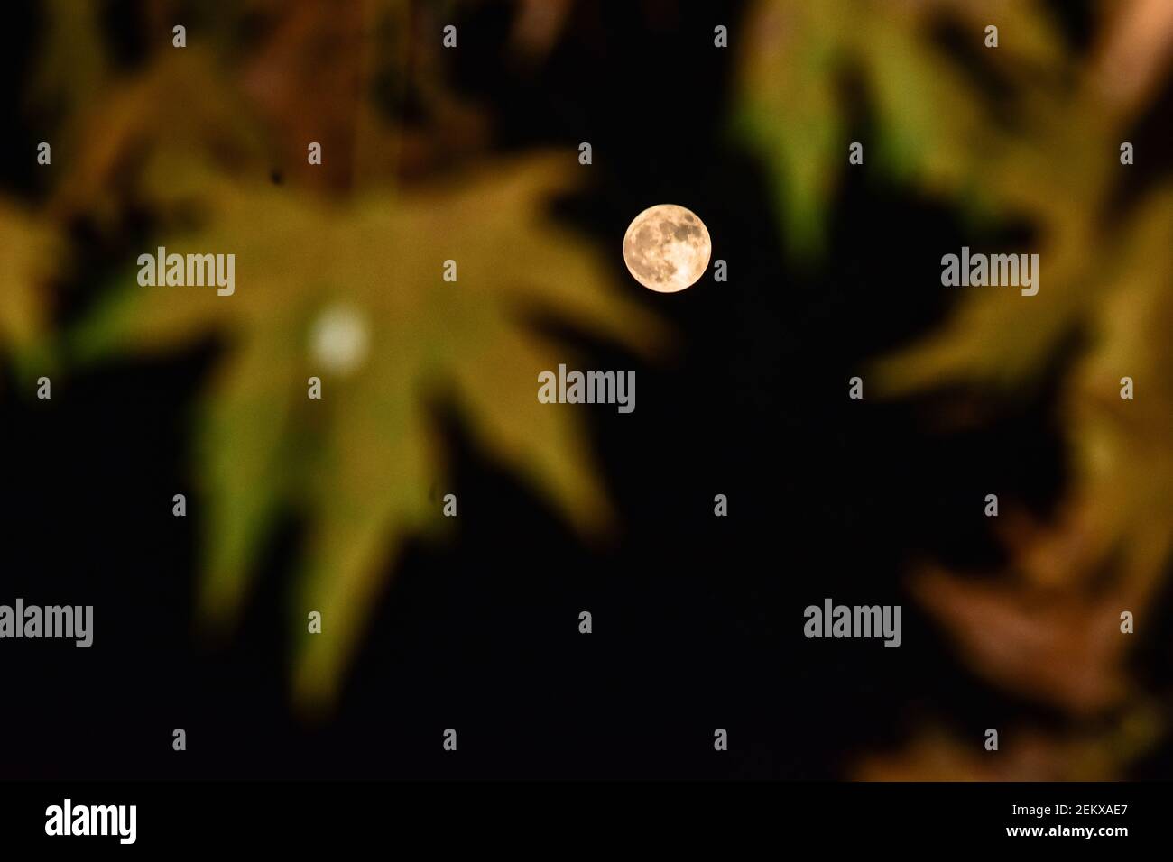 The blue moon rises in Srinagar, the summer capital of Jammu and ...